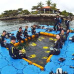 CEBU: How to get two for one price (scuba certification) - What to Expect During the Course