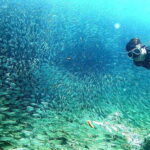 Cebu: Mactan Island Hopping Tour with Snorkeling - The Itinerary Breakdown