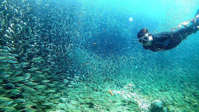Cebu: Mactan Island Hopping Tour with Snorkeling - The Itinerary Breakdown