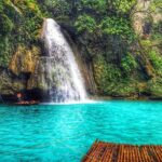 Cebu Moalboal Beach, Sardine Run, Sea Turtle Viewing + Canyoneering Tour - Who Is This Tour Best For?