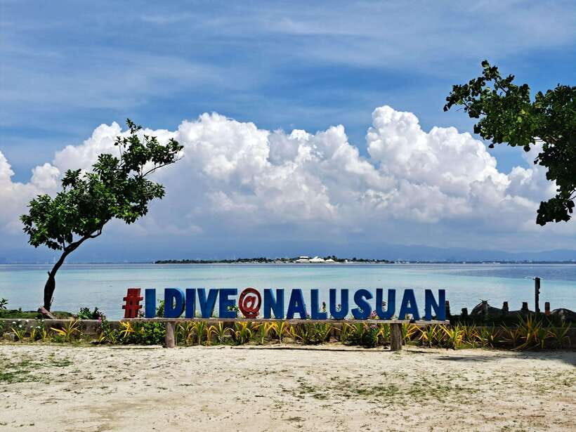 Cebu Nalusuan Island & Marine Sanctuary | Joiners Tour - What Makes This Tour Special?