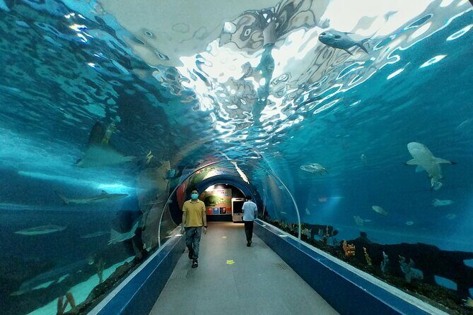 Cebu Ocean Park - Authentic Experiences from Visitors