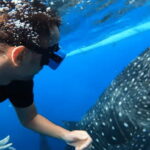 Cebu: Oslob Whale Shark and Moalboal Snorkeling Adventure - The Marine Experience: What It Means for You