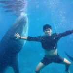 Cebu: Oslob Whale Shark Encounter & SUMILON with Transfers - What to Expect at Each Stop