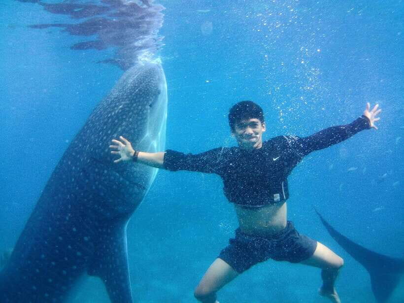 Cebu: Oslob Whale Shark Encounter & SUMILON with Transfers - What to Expect at Each Stop