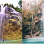 Cebu: Oslob Whale Shark Swim and Sumilon Island Day Tour - Who Will Enjoy This Tour?