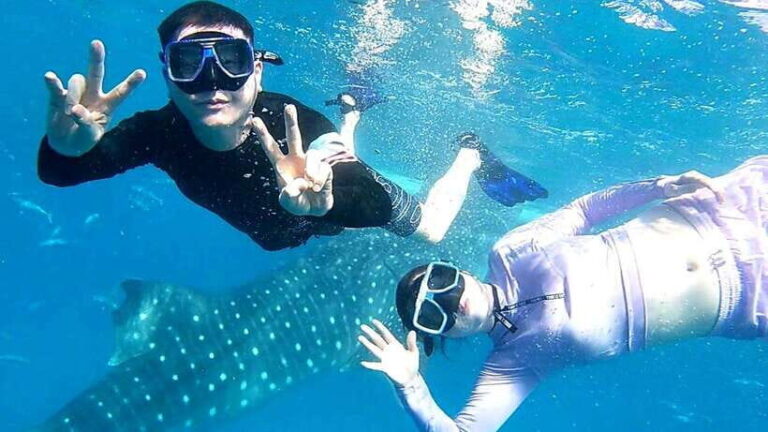 Cebu: Oslob Whale Shark Watching and Inambakan Waterfalls - Authentic Experiences & Traveler Feedback