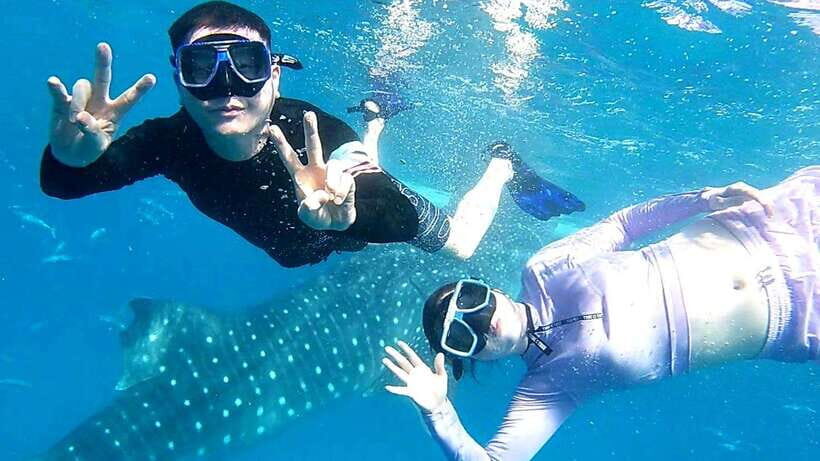 Cebu: Oslob Whale Shark Watching and Inambakan Waterfalls - Authentic Experiences & Traveler Feedback