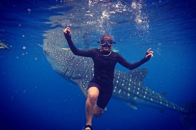 Cebu Oslob Whaleshark and Sumilon Island Full-Day Private Tour - The Bottom Line: Who’s It For?