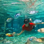Cebu: Private Mactan Island Hopping Tour with Lunch - A Well-Organized Itinerary: What to Expect