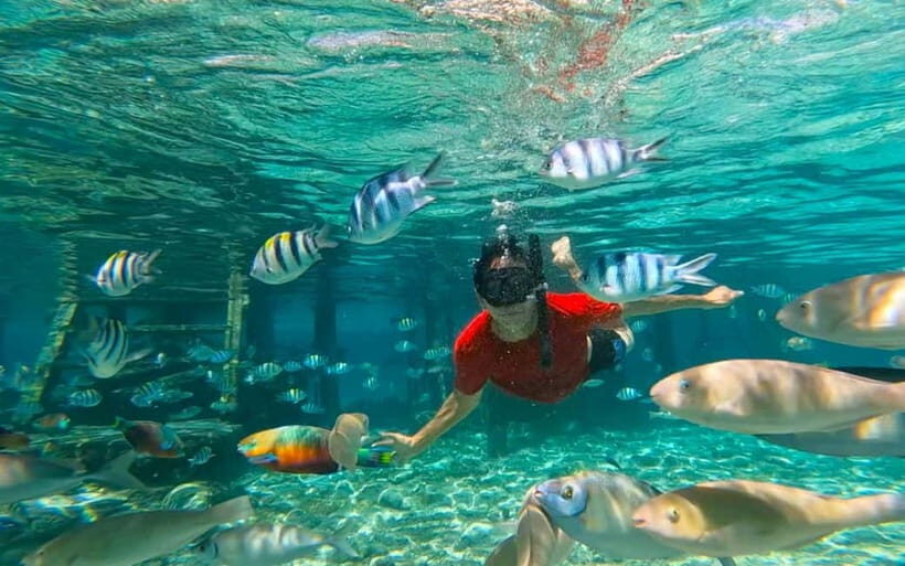 Cebu: Private Mactan Island Hopping Tour with Lunch - A Well-Organized Itinerary: What to Expect