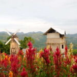 Cebu: Private Panoramic Tour with Dinner - Transportation & Group Dynamics