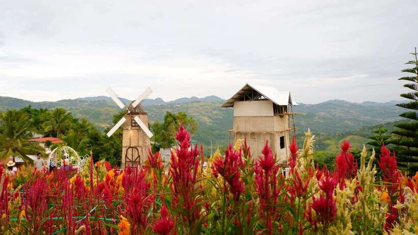 Cebu: Private Panoramic Tour with Dinner - Transportation & Group Dynamics