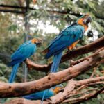 Cebu Safari Adventure - Who Will Love This Tour?