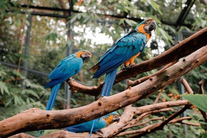 Cebu Safari Adventure - Who Will Love This Tour?