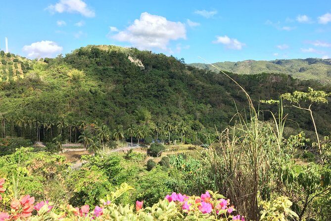 Cebu Safari and Adventure Park - The Sum Up: What’s the Bottom Line?