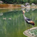 Cebu Safari Day Tour - What’s Included and What’s Not