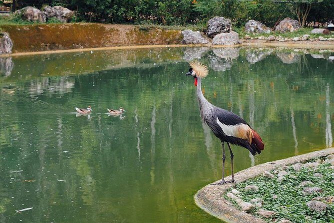 Cebu Safari Day Tour - What’s Included and What’s Not