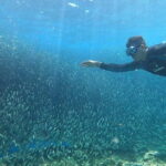 Cebu: Sardine Run Snorkeling, Mantayupan Falls & ATV Thrills - Authentic Encounters and Practical Tips