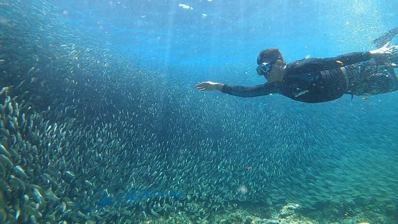 Cebu: Sardine Run Snorkeling, Mantayupan Falls & ATV Thrills - Authentic Encounters and Practical Tips