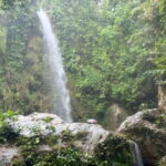 Cebu: Whale Shark, Inambakan Falls & Moalboal Sardine Tour - The Itinerary in Detail