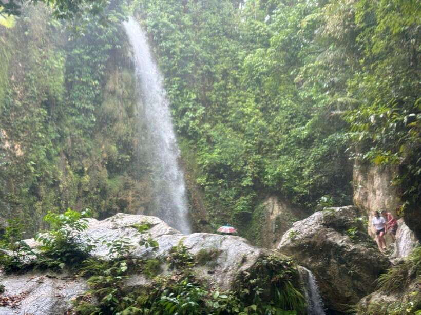 Cebu: Whale Shark, Inambakan Falls & Moalboal Sardine Tour - The Itinerary in Detail