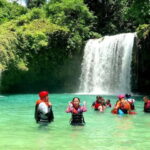 Cebu: Whale Shark Swim and Kawasan Canyoneering Tour - Logistics and Value: What’s Included and What’s Not