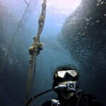 Cebu: Whale Shark, Tumalog, and Moalboal Tour - Exploring the Itinerary in Detail