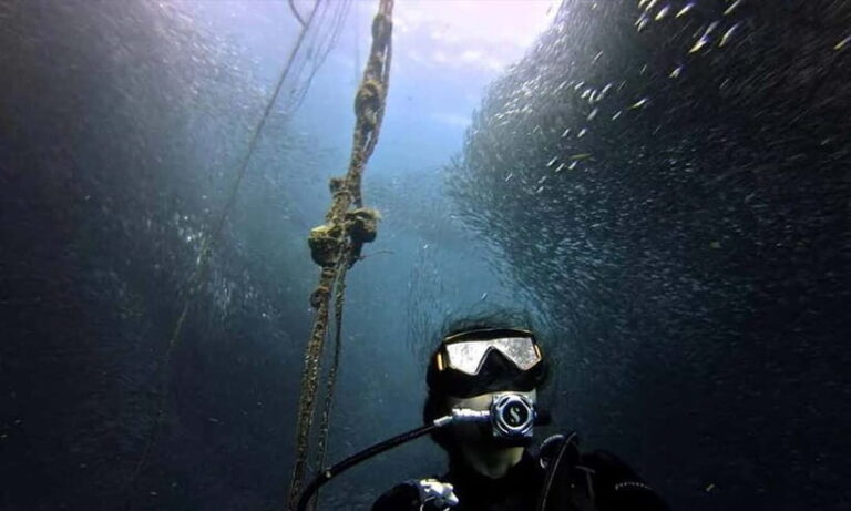 Cebu: Whale Shark, Tumalog, and Moalboal Tour - Exploring the Itinerary in Detail