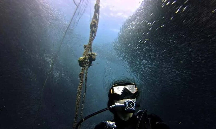 Cebu: Whale Shark, Tumalog, and Moalboal Tour - Exploring the Itinerary in Detail
