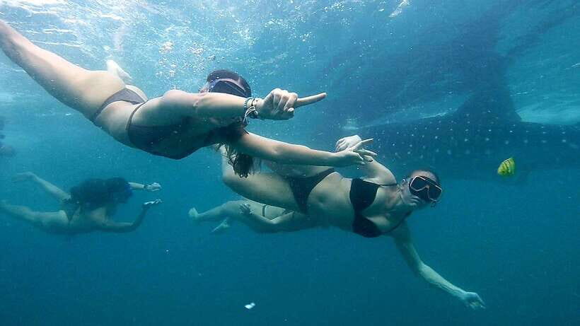 Cebu: Whale Sharks, Ka-Treasure Water Terraces & Simala Tour - Practical Details and What to Expect