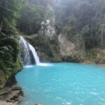 Cebu: Whale Sharks, Kawasan Falls, & Sardines Run Snorkeling - The Sum Up