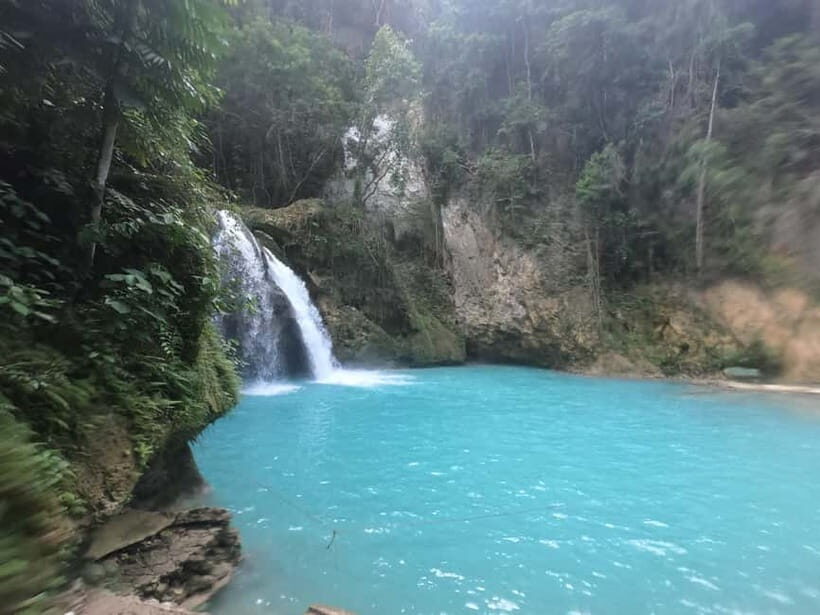 Cebu: Whale Sharks, Kawasan Falls, & Sardines Run Snorkeling - The Sum Up