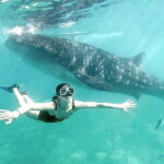 Cebu: Whaleshark Swimming & Kawasan falls Canyoneering Tour - What to Expect at Each Stop