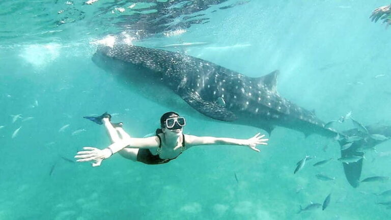 Cebu: Whaleshark Swimming & Kawasan falls Canyoneering Tour - What to Expect at Each Stop
