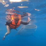CEBU: Whaleshark Watching + Sumilon Sand Bar + Tumalog Falls - Transportation, Timing, and Practicalities