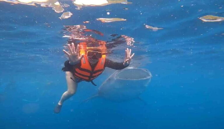 CEBU: Whaleshark Watching + Sumilon Sand Bar + Tumalog Falls - Transportation, Timing, and Practicalities