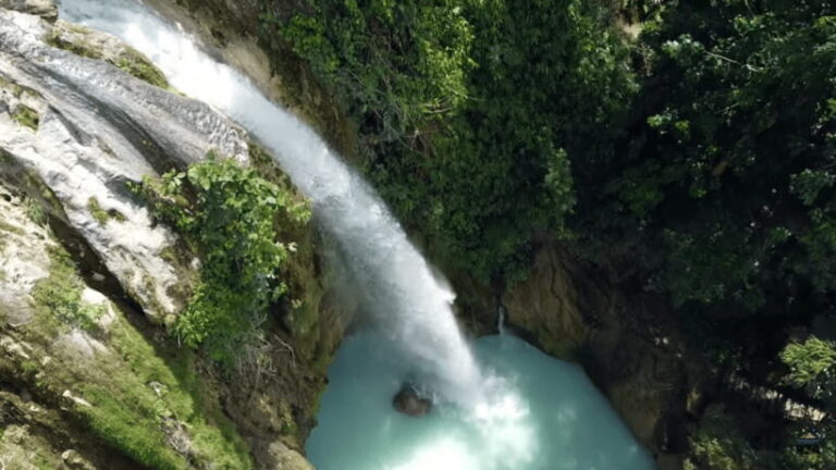 Cebu:Oslob Whales,Sumilon Island & Inambakan Falls Adventure - Starting Point: Convenient & Flexible Pickup