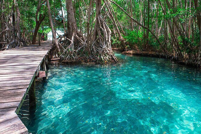 Celestun mangrove boat tour from Mérida - Analyzing the Value
