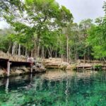 Cenote Cavern Tour and Swim with Sea Turtles in Akumal - What the Reviews Say About the Experience