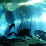 Cenote Diving - 2 Tank Dive Trip for Certified Divers - The Unique Appeal of Cenote Diving