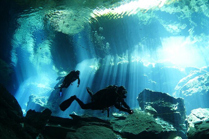 Cenote Diving - 2 Tank Dive Trip for Certified Divers - The Unique Appeal of Cenote Diving