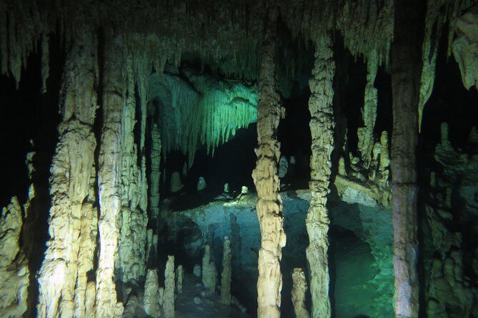 Cenote diving Dream Gate - Is This Tour Right for You?