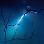 Cenote El Pit and Dos Ojos Dive Trip - Who Should Consider This Tour?