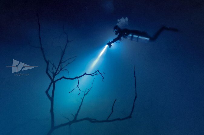 Cenote El Pit and Dos Ojos Dive Trip - Who Should Consider This Tour?