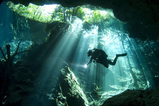 Cenotes 2-Day Scuba Diving Package in the Riviera Maya - A Day in the Ocean: Reef Dives from Playa del Carmen