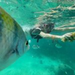 Cenotes Private Tour VIP - How This Tour Stands Out