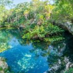 Cenotes Taak Bi Ha & Nicte Ha  VIP Snorkeling Private Tour - Authenticity and Peaceful Settings