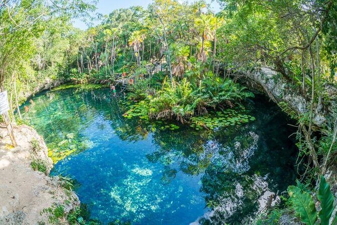 Cenotes Taak Bi Ha & Nicte Ha  VIP Snorkeling Private Tour - Authenticity and Peaceful Settings