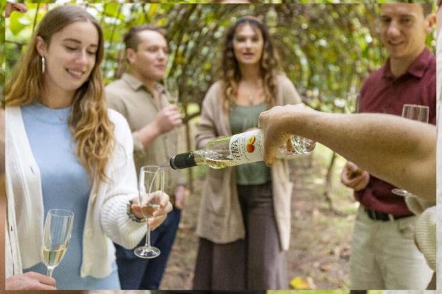 Central Coast NSW: The Winemakers Secret Garden Tour - Why This Tour Stands Out